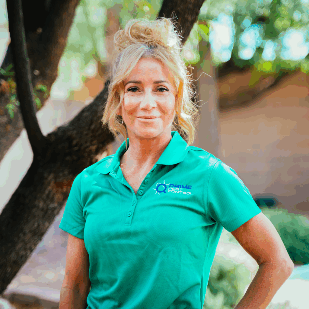 Summerlin Pest Control | Local Exterminator in Summerlin